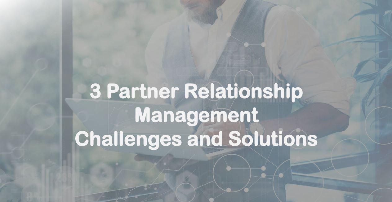 3 Channel Partnership Management Challenges